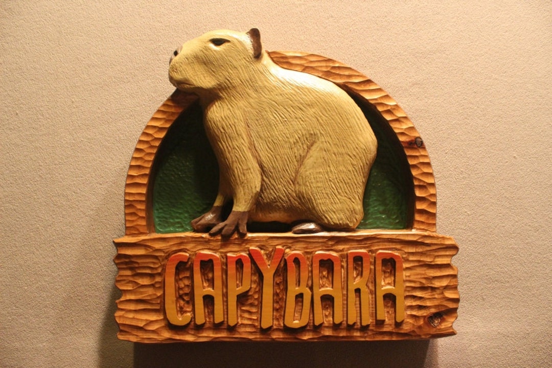 ZOO EXHIBIT SIGNS | Capybara Sign | Unique Animal Signs | Hand Carved ...