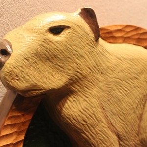 ZOO EXHIBIT SIGNS | Capybara Sign | Unique Animal Signs | Hand Carved ...