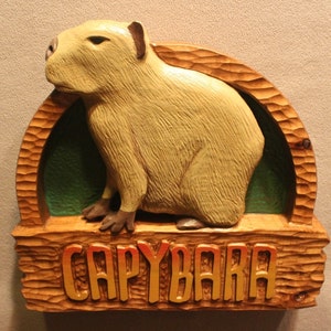 ZOO EXHIBIT SIGNS | Capybara Sign | Unique Animal Signs | Hand Carved ...