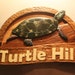 CARVED TURTLE SIGN | Hand Carved Signs | Hand Made Signs | Carved ...