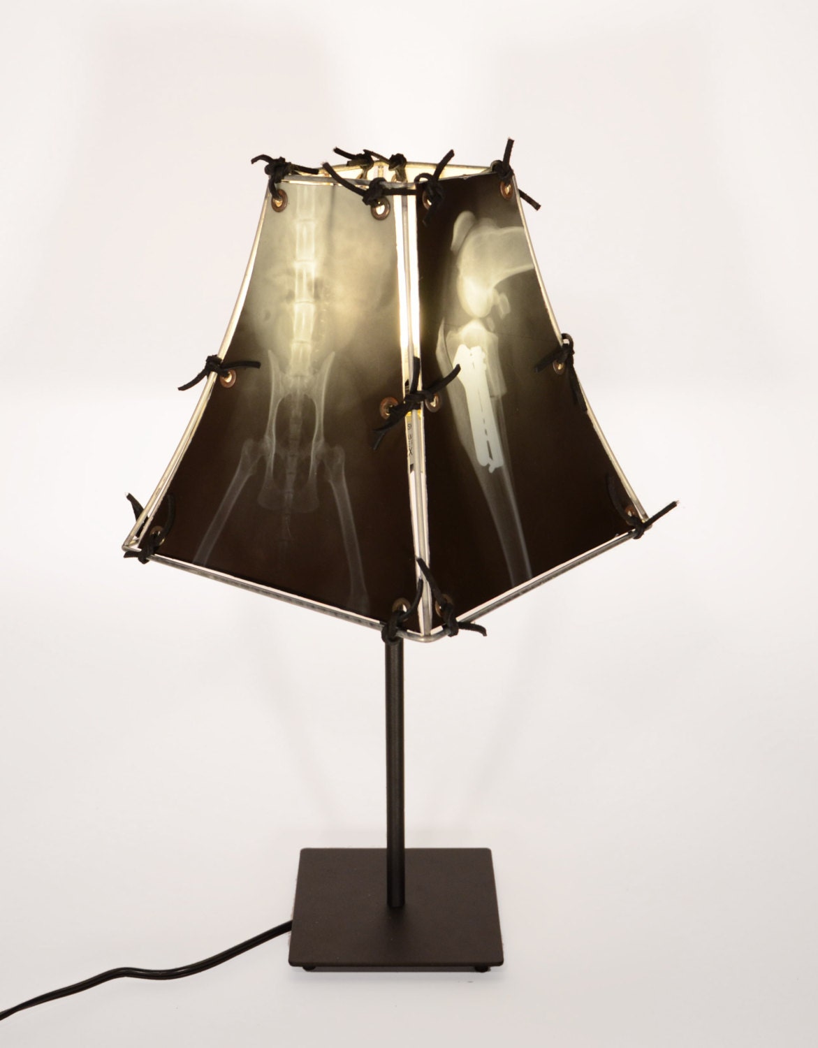 Custom Unique X-ray Lamp OOAK - Etsy