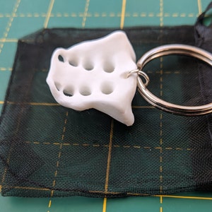 Anatomically Correct Sacrum Bone Key Chain | Key Ring | Pelvis ...