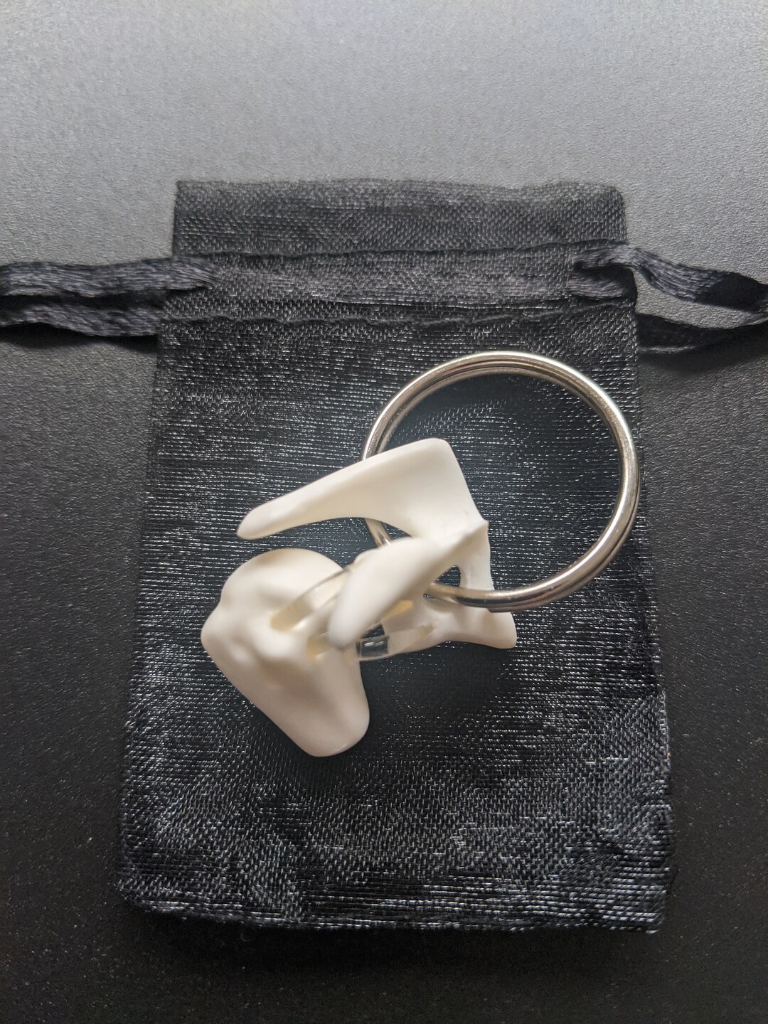 Anatomical Shoulder Joint Key Ring Key Chain | Scapula | Humerus ...