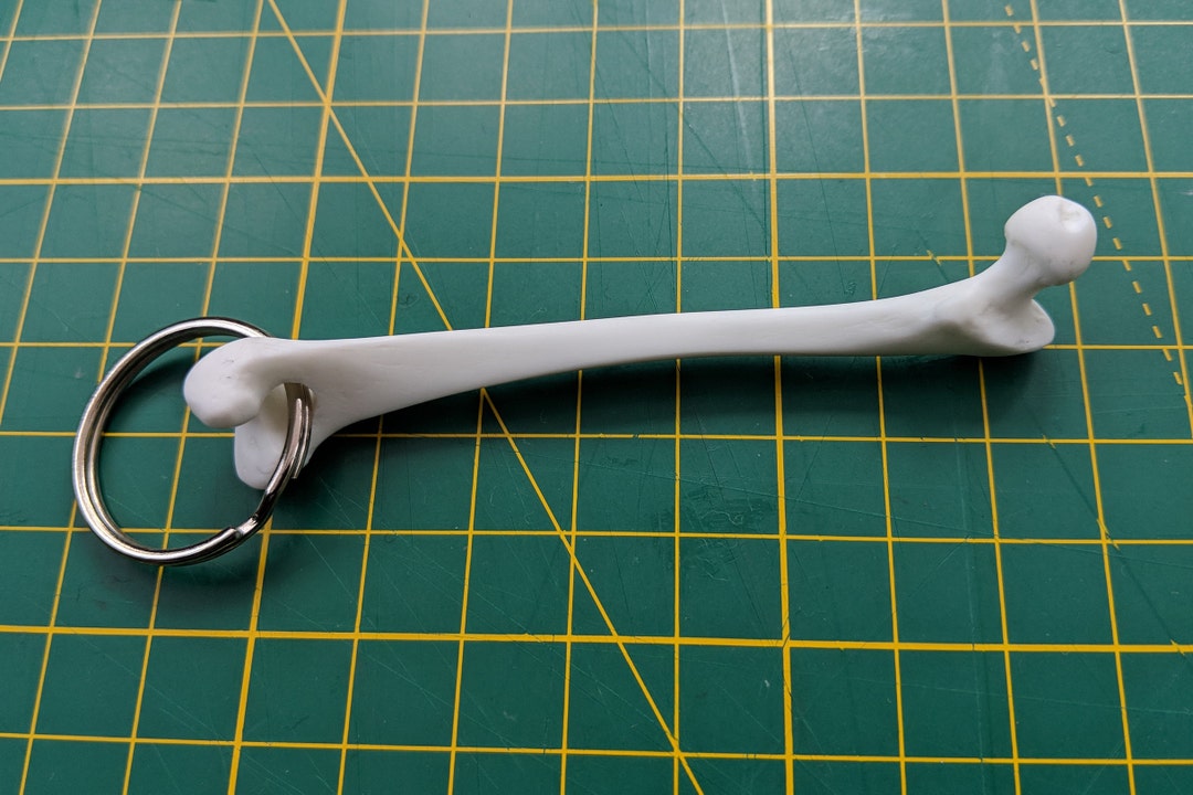 Anatomically Correct Large Femur Key Ring Keychain - Etsy