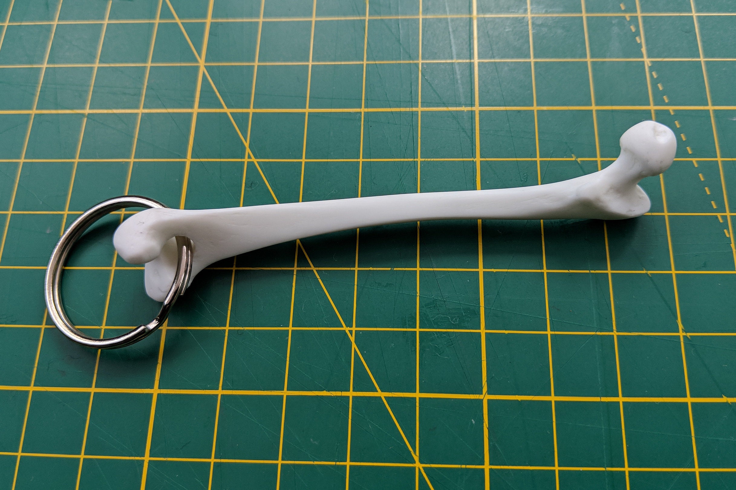 Anatomically Correct Large Femur Key Ring Keychain Medical Medicine ...