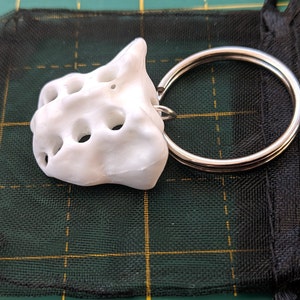Anatomically Correct Sacrum Bone Key Chain | Key Ring | Pelvis ...