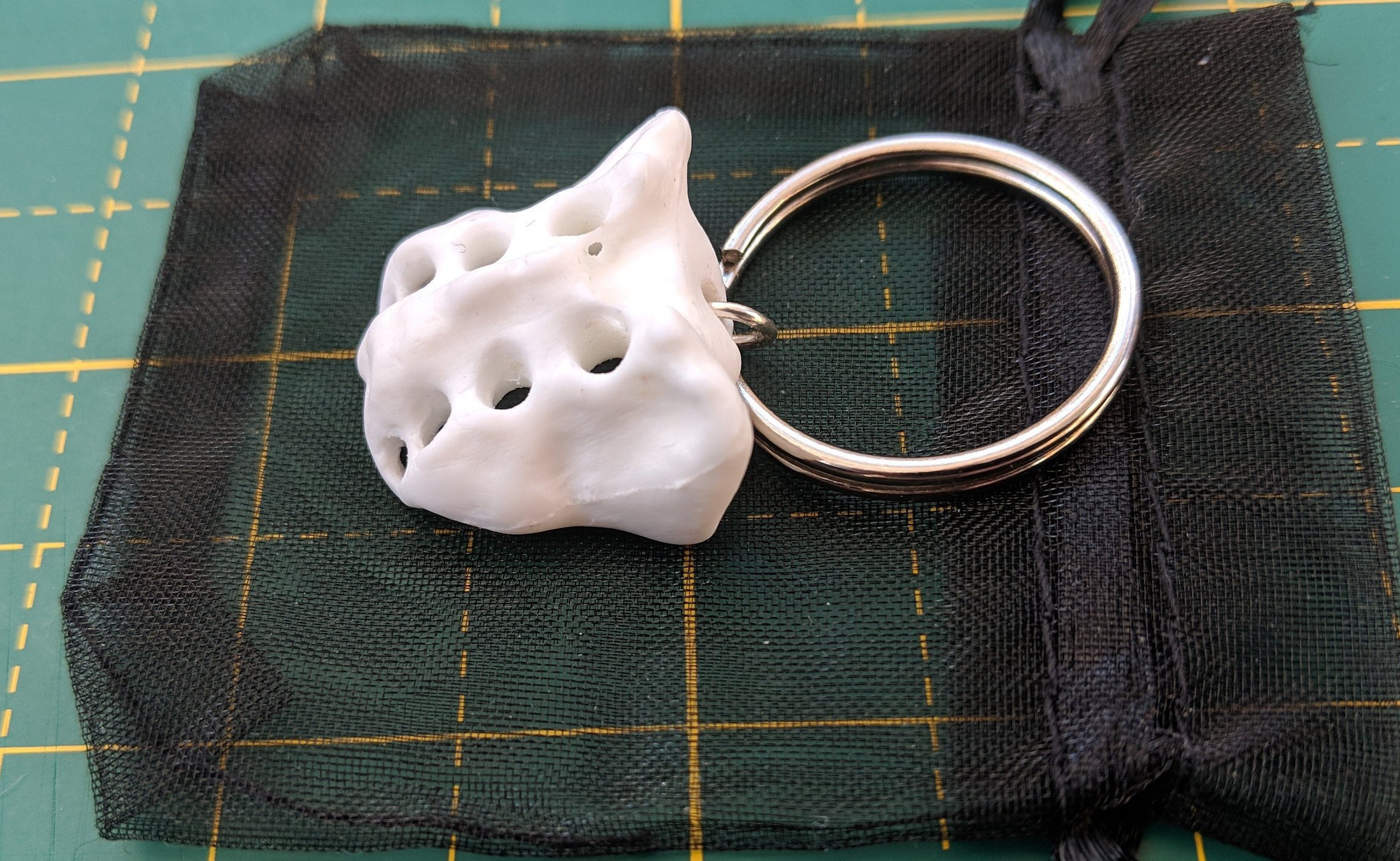 Anatomically Correct Sacrum Bone Key Chain Key Ring Pelvis Medical ...