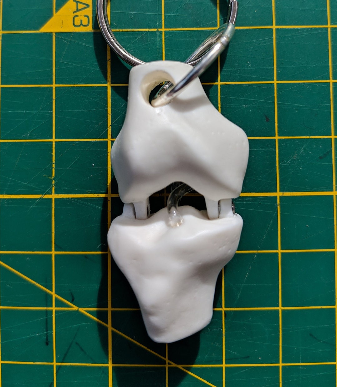 Anatomical Knee Joint Key Ring Keychain| Femur | Tibia | Ligaments ...