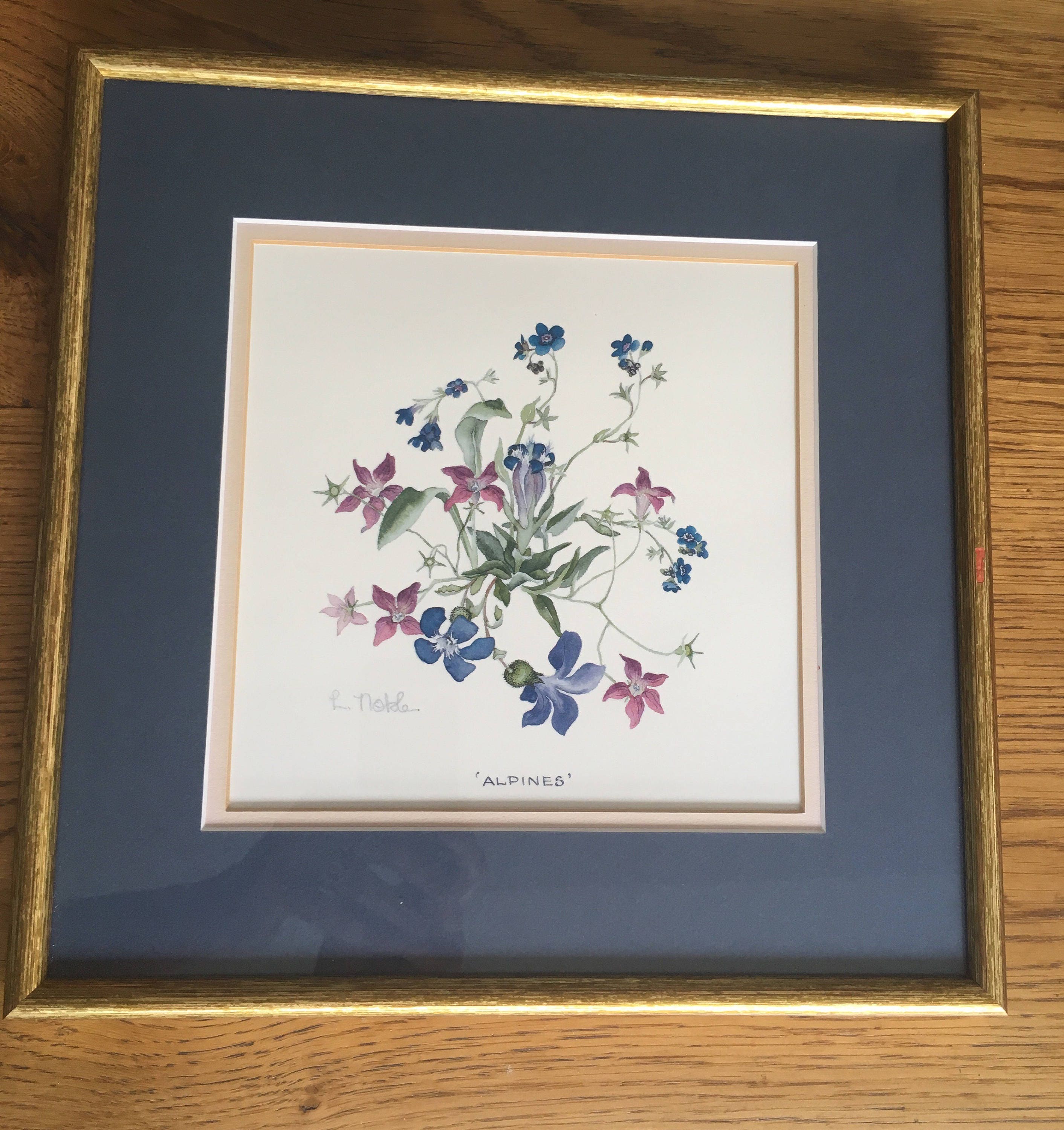 Botanical Print. Lyn Noble Print. Alpine Flowers. Watercolour. - Etsy