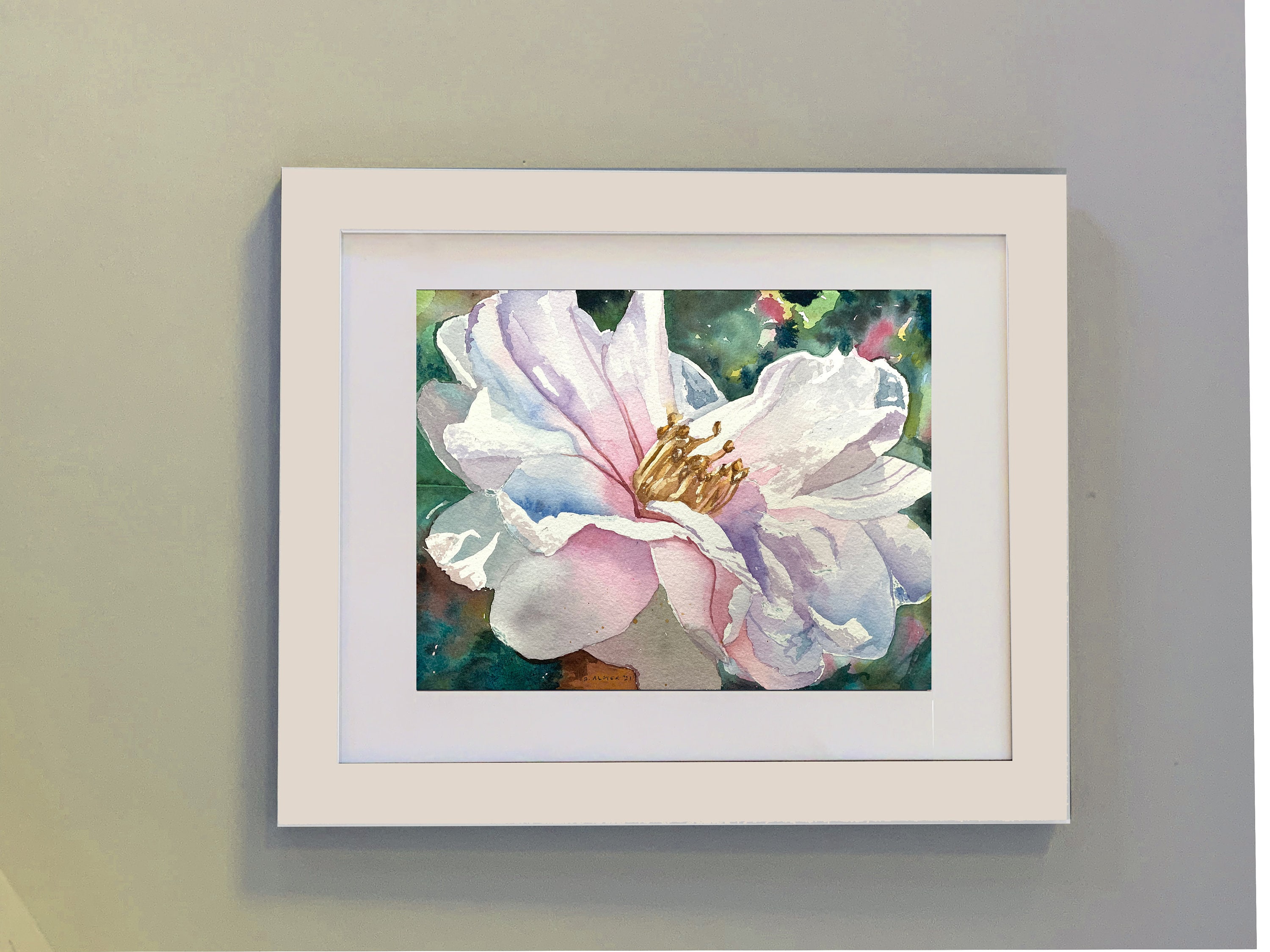 Floral Watercolor Giclee Print Featuring a Jean May Camellia Japonica ...
