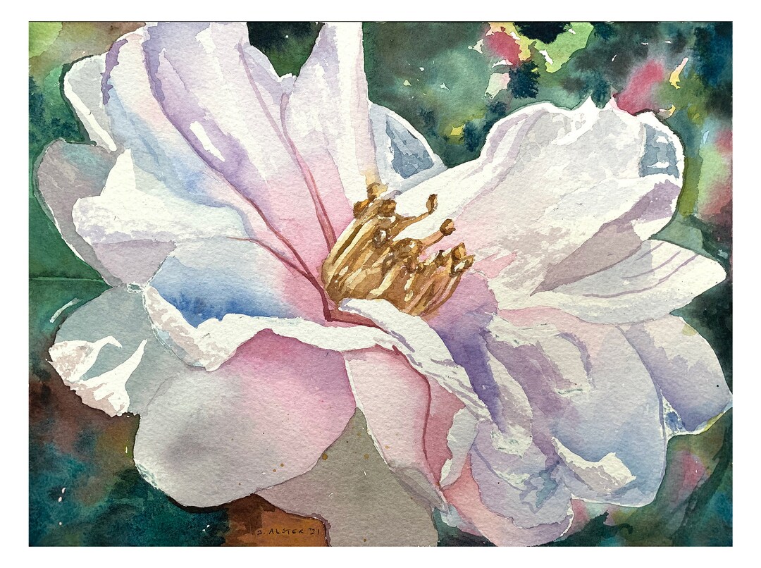 Floral Watercolor Giclee Print Featuring a Jean May Camellia Japonica ...