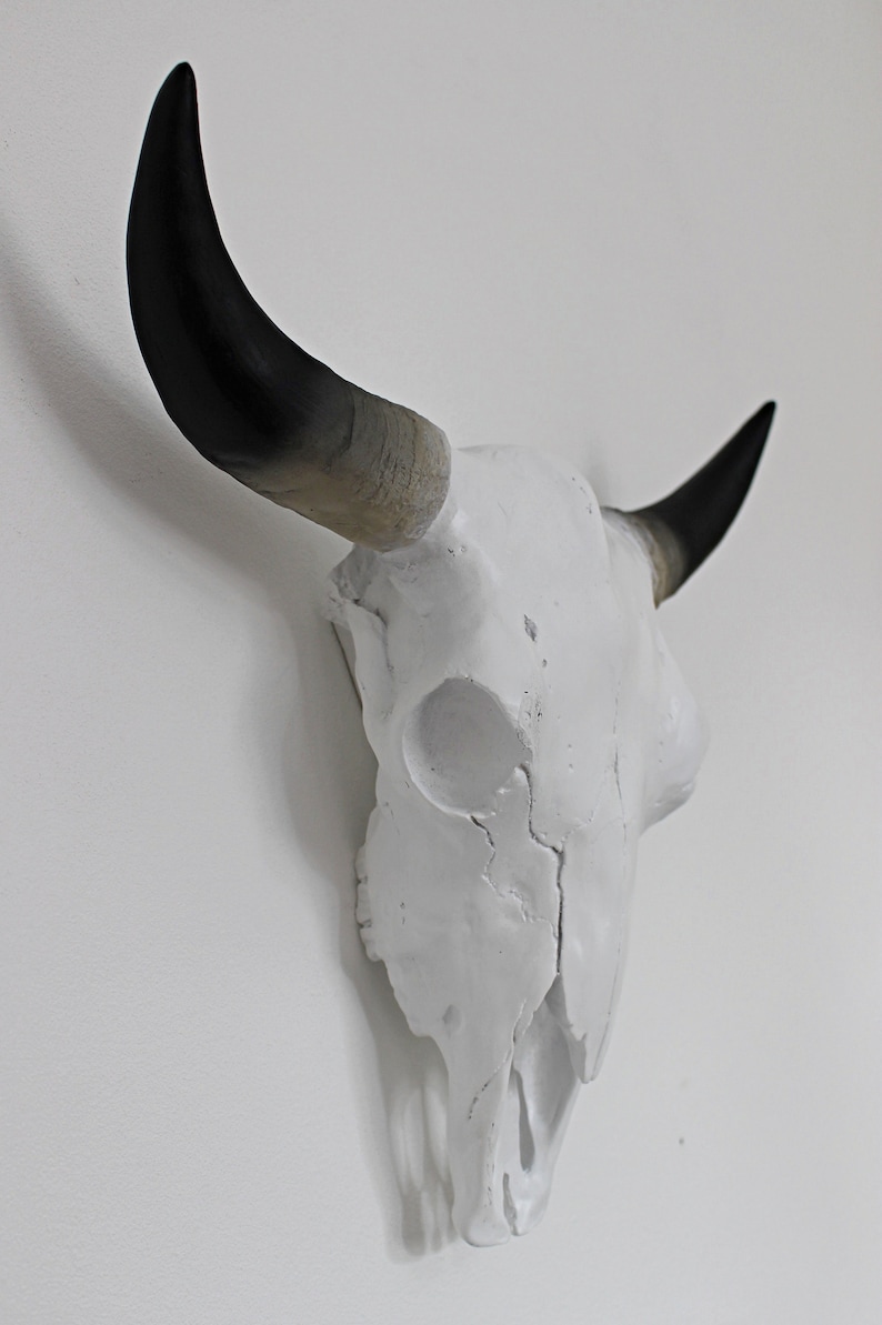 White Faux Cow Skull With Horns - 3 Sizes Available - Etsy
