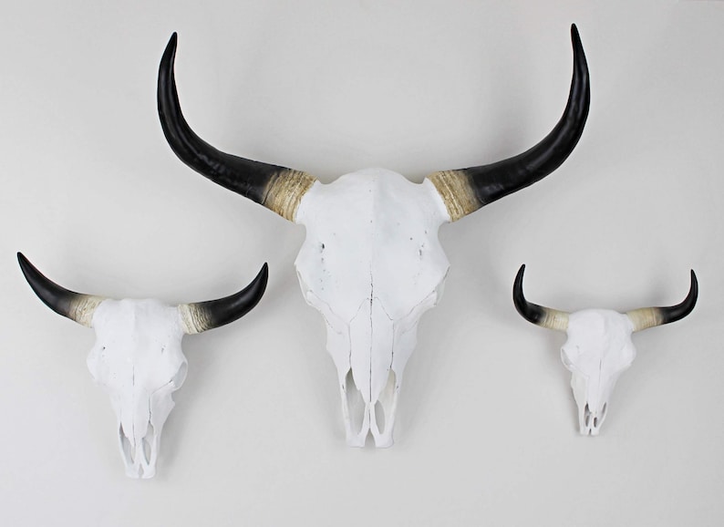 Black Faux Cow Skull With Horns - 3 Sizes Available - Etsy