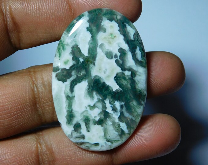 Tree Agate Gemstone 100% Natural Top Quality Tree Agate Cabochons,tree ...