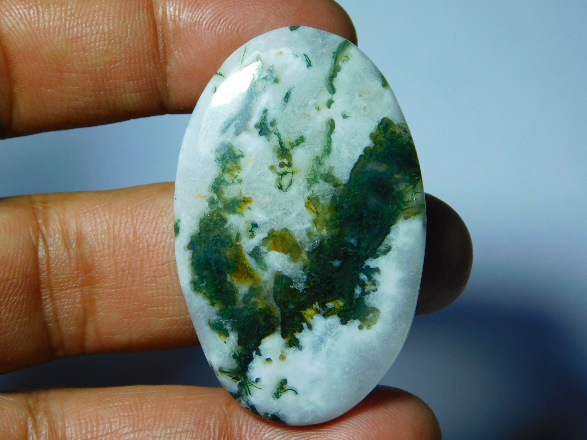 Natural Tree Agate Gemstonetop Quality Tree Agate - Etsy UK