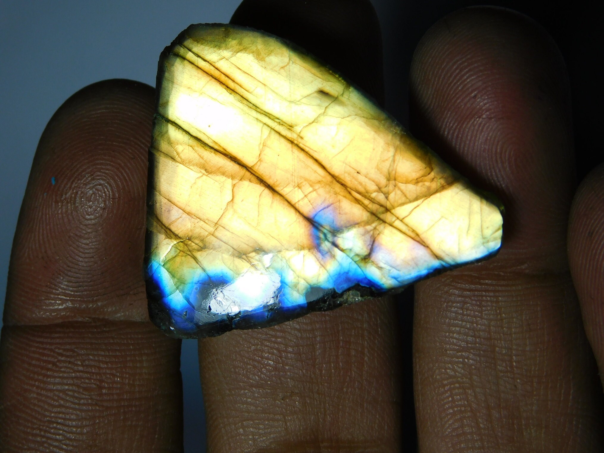 Rare Blue Labradorite Spectrolite Slice Blue Flasy Top - Etsy