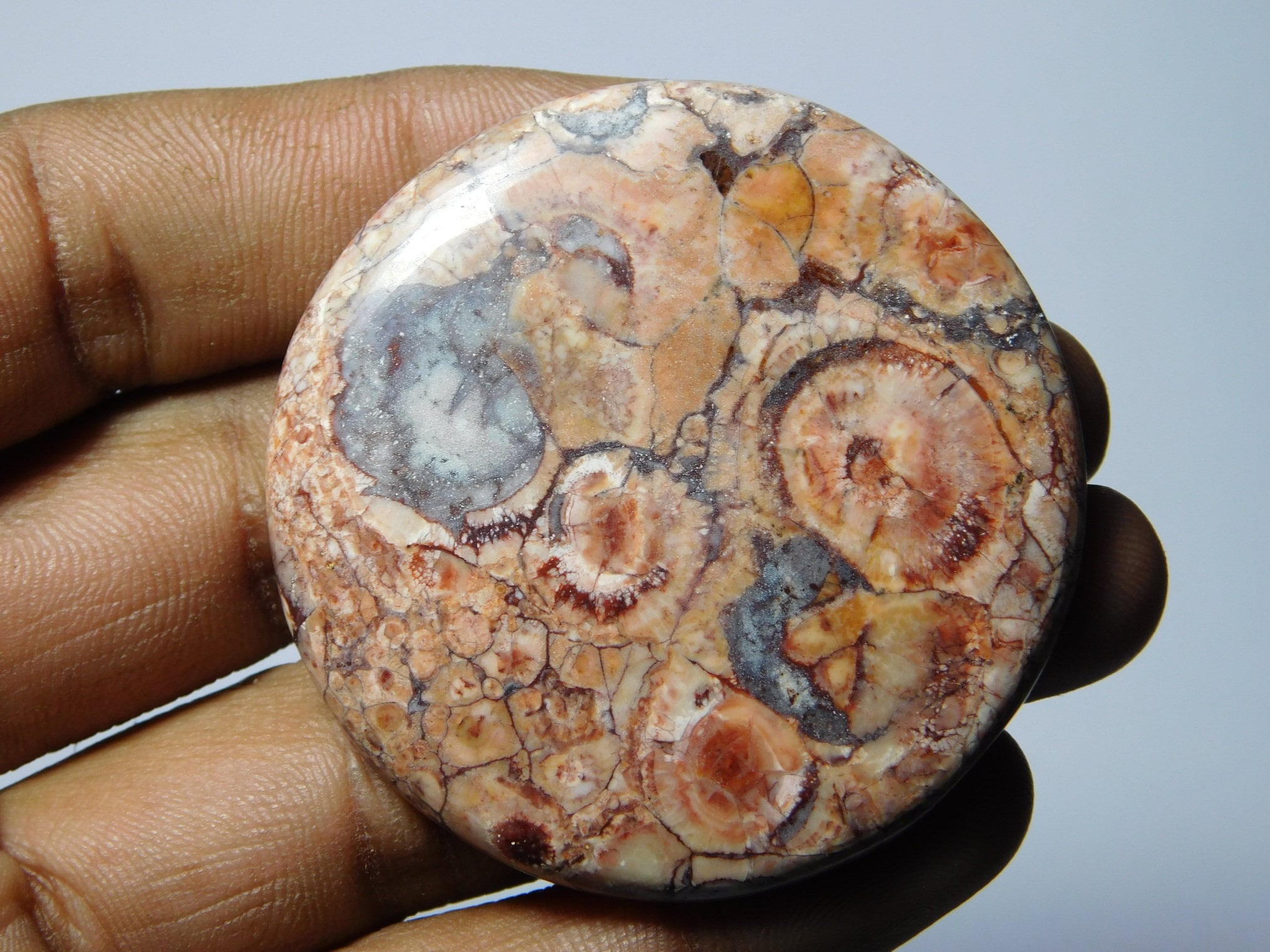 Bird Eye Jasperbird Eye Jasper Gemstonebird Eye Jasper - Etsy