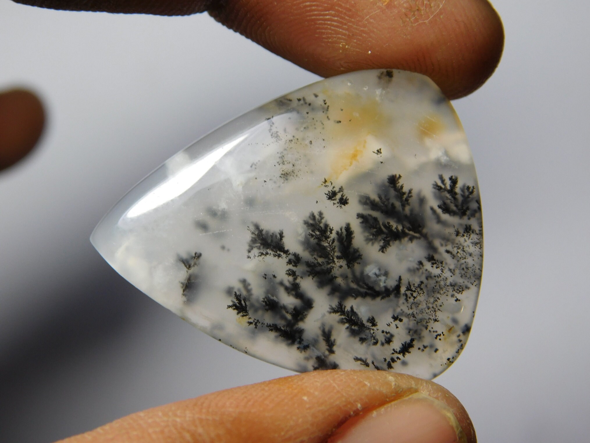 Natural Dendritic moss agate Cabochons Top Quality Dendritic | Etsy