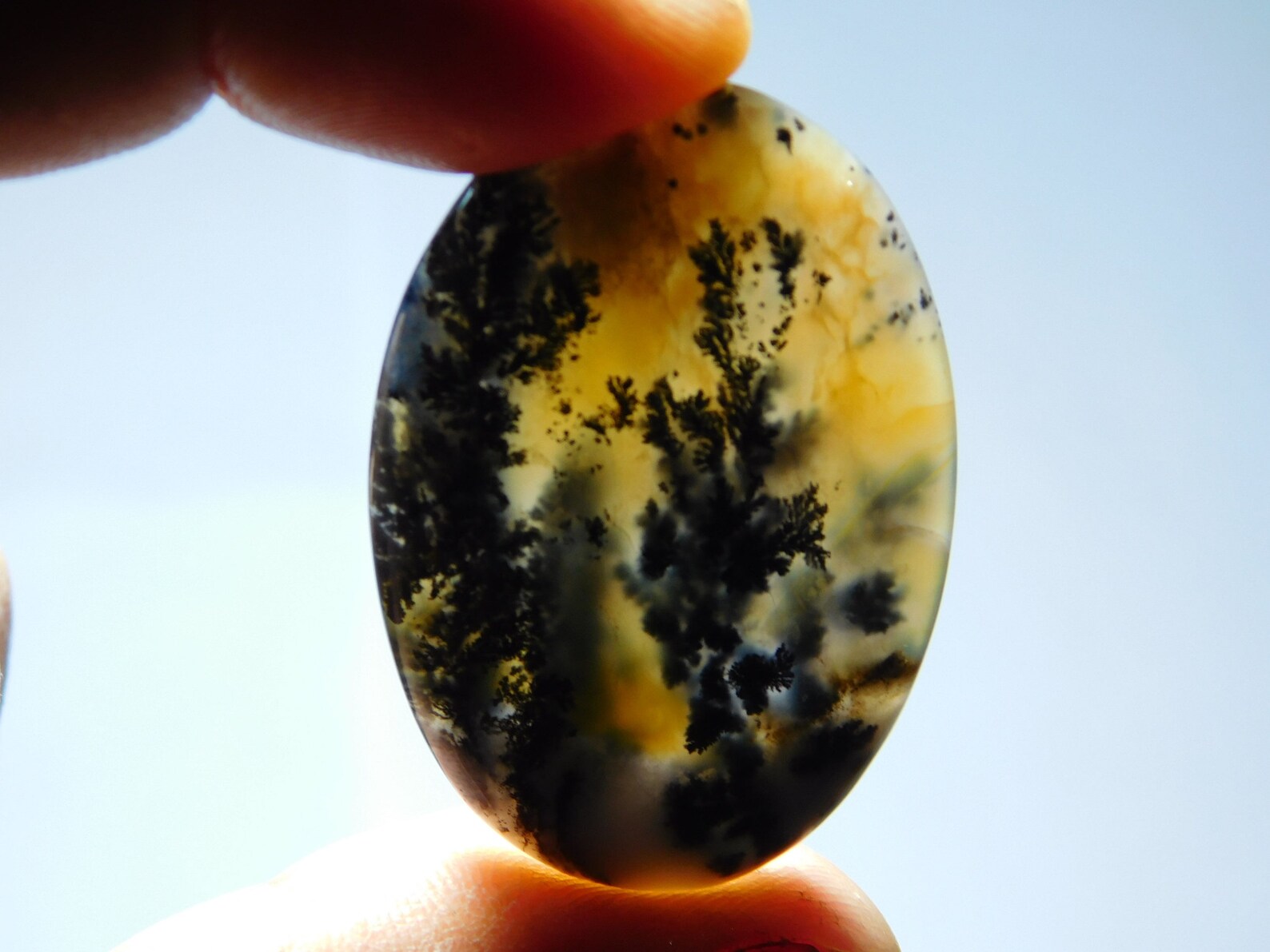 Natural Dendritic Moss Agate Cabochons Top Quality Dendritic - Etsy