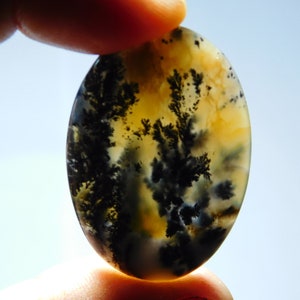 Natural Dendritic Moss Agate Cabochons Top Quality Dendritic - Etsy