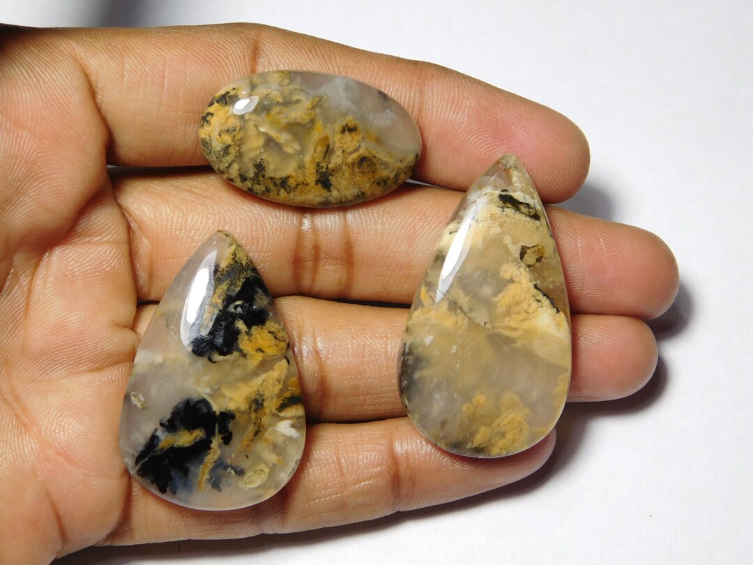 Tiger Dendritic Agate Lot of 3 Piece Tiger Dendritic Agate Cabochons ...