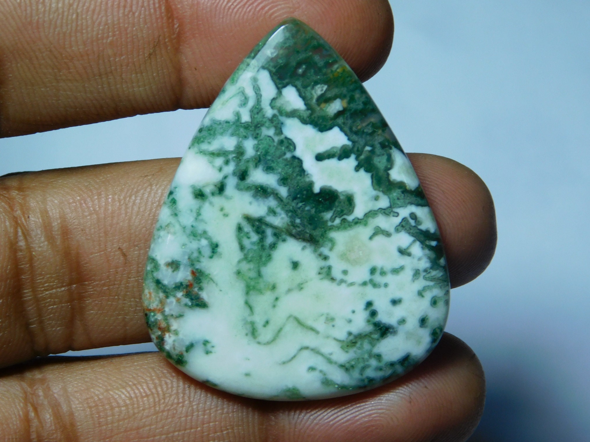 Natural Tree Agate Gemstonetop Quality Tree Agate - Etsy UK