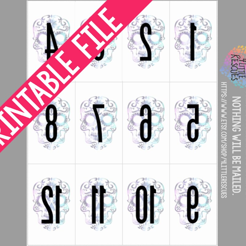 Paparazzi Numbers - Etsy