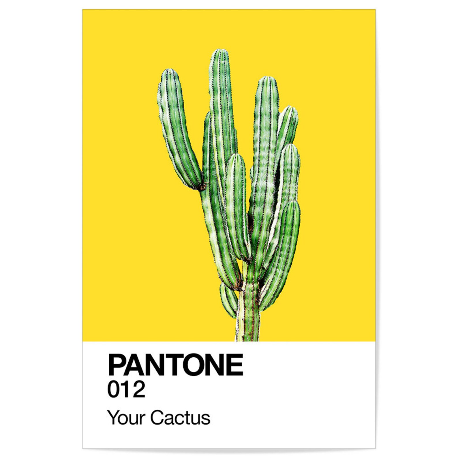 Cactus Print, Pantone, Yellow Wall Decor, Digital Download, Desert Art ...