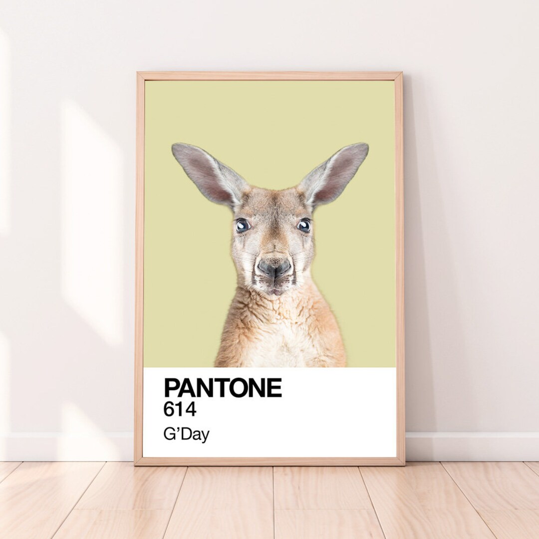 Kangaroo Print, Australian Art, Pantone, Animal Wall Decor, G'day ...
