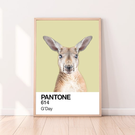 Kangaroo Print Australian Art Pantone Animal Wall Decor - Etsy New Zealand