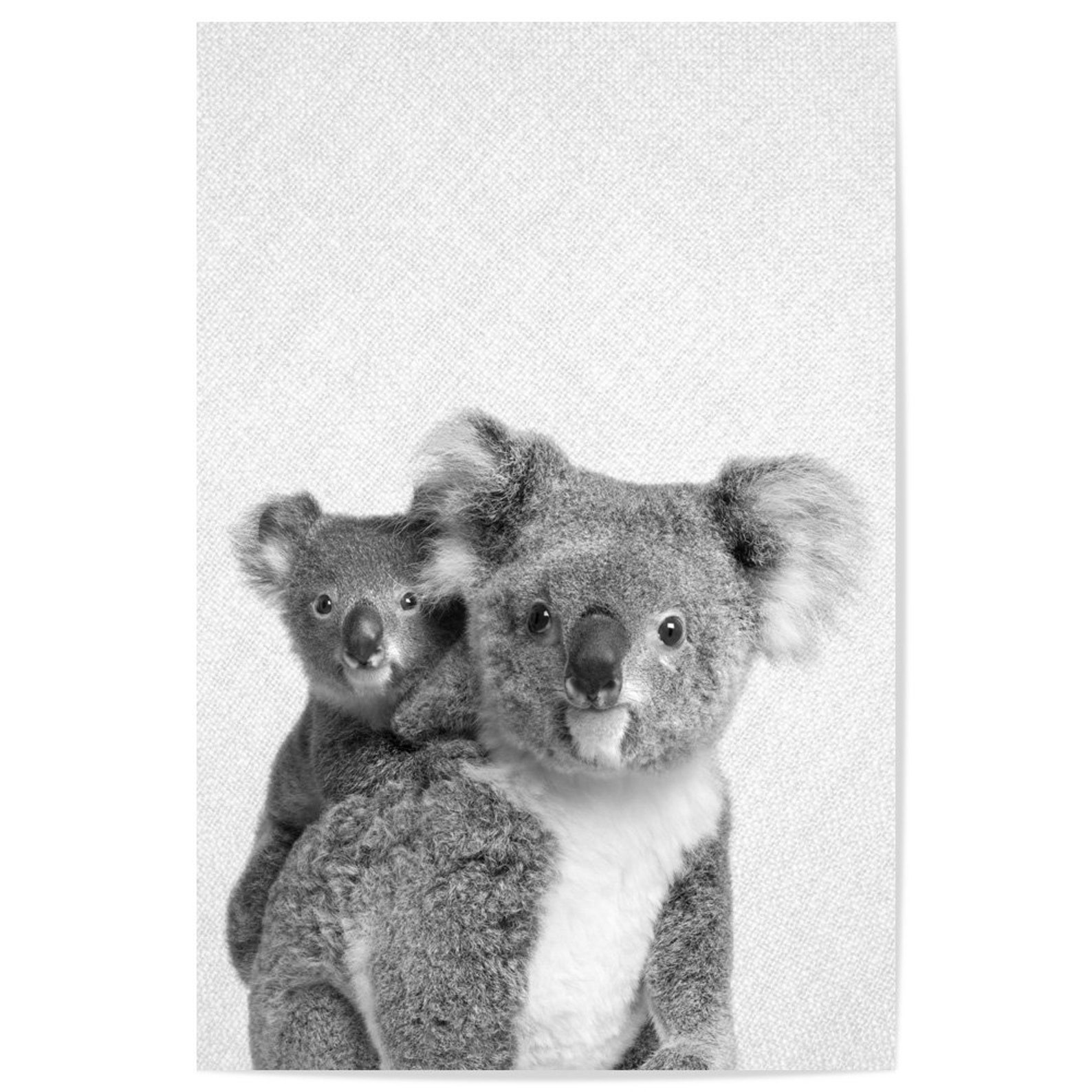 Koala Bear Print, Baby Animal Art, Woodlands Nursery Wall Decor ...