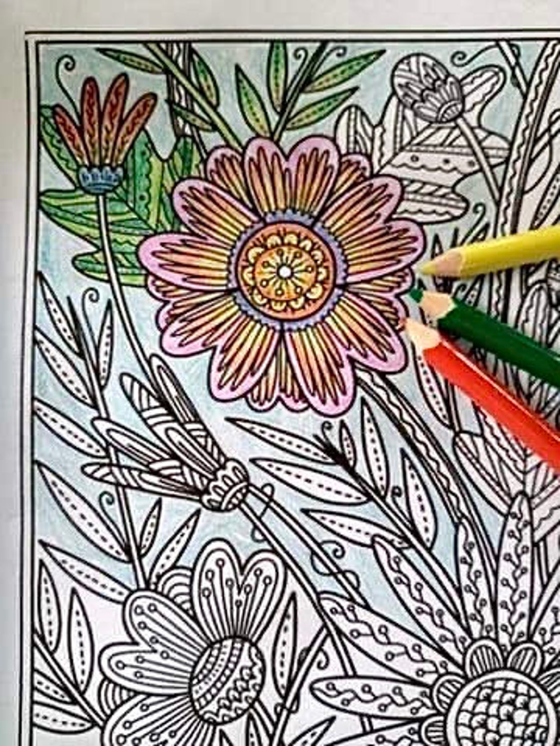 Nature Mindful Colouring PDF Printable Page | Etsy