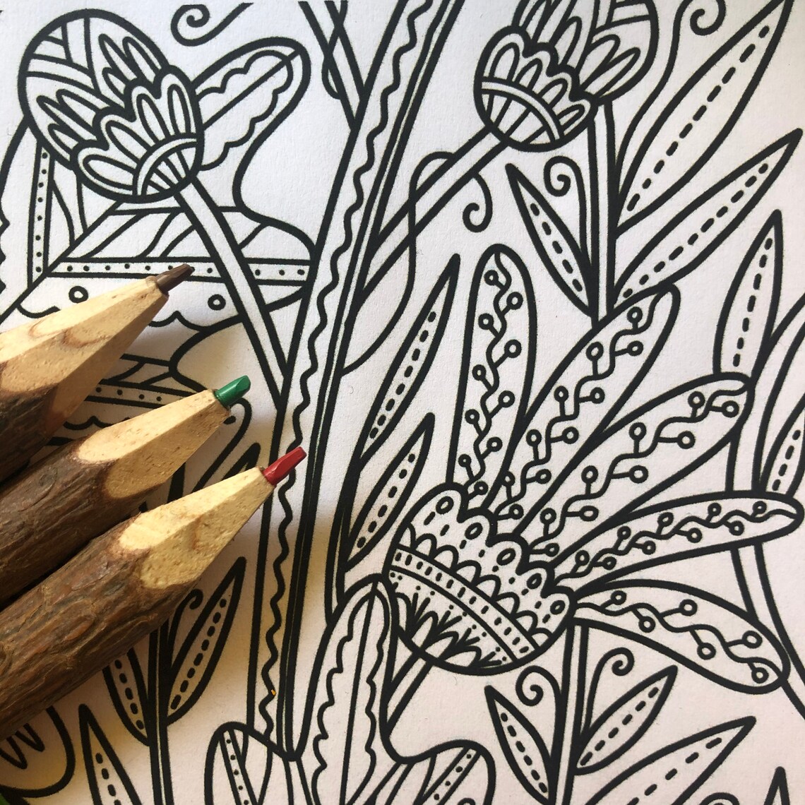 Nature Mindful Colouring PDF Printable Page | Etsy