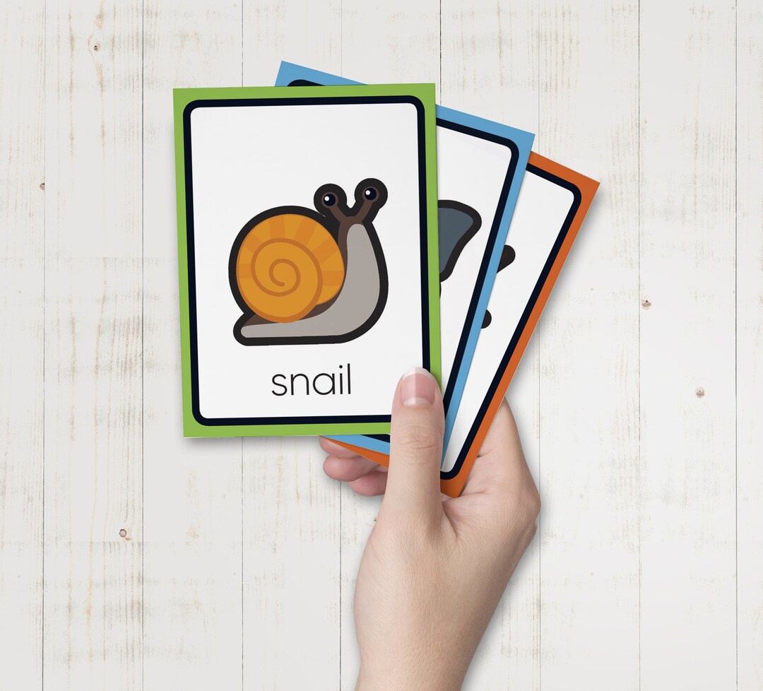 Insects Flash Cards, Insect Flashcards for Kids, Preschool Educational ...