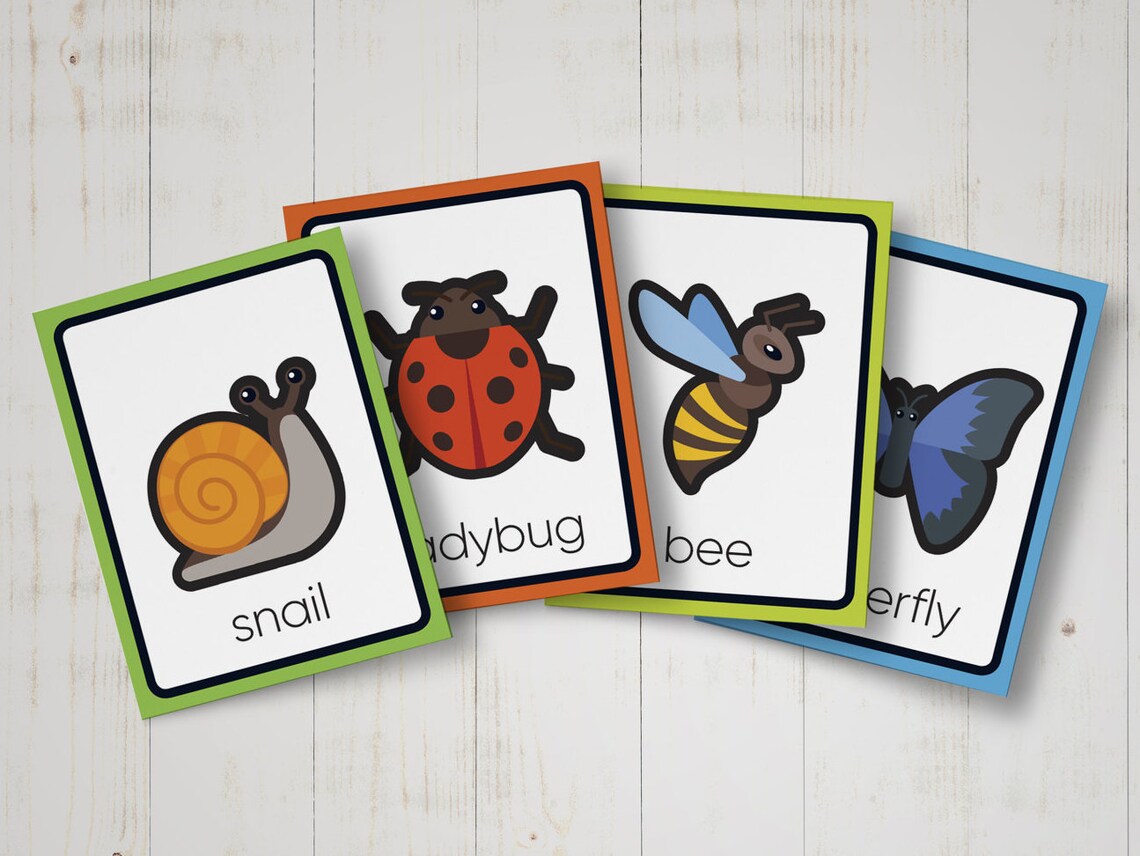 Insects Flash Cards, Insect Flashcards for Kids, Preschool Educational ...