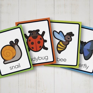 Insects Flash Cards, Insect Flashcards for Kids, Preschool Educational ...