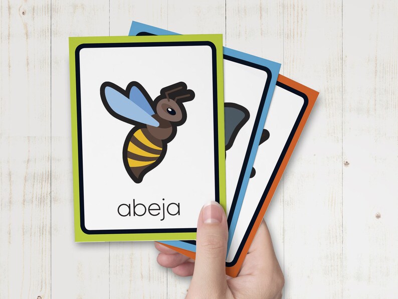 Spanish Flashcards for Kids, Printable Insects Flashcards, Learn ...