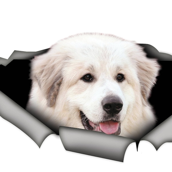 Great Pyrenees Car Decal - Etsy