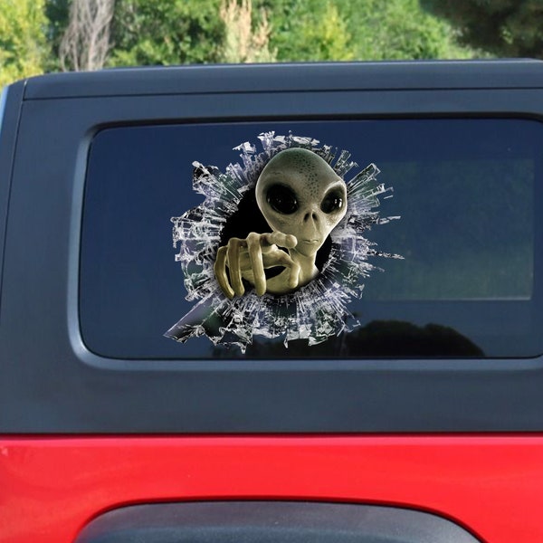 Car Window Decals Funny - Etsy