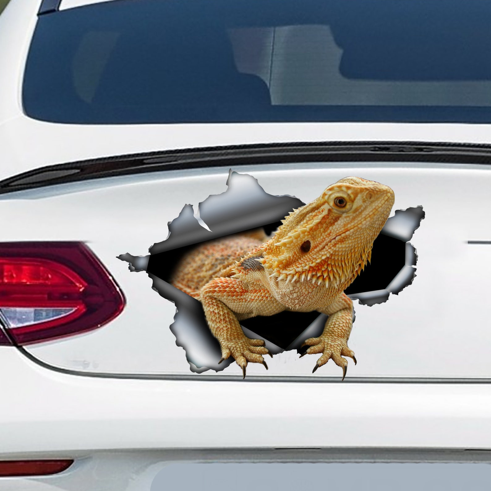Bearded Dragon Car Decal, Bearded Dragon Magnet, Bearded Dragon Car ...