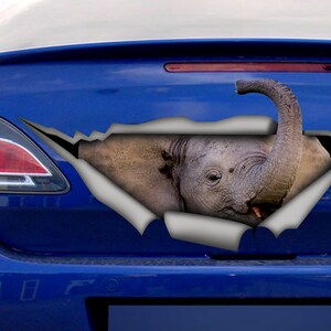 Elephant Car Decal , 3d Decal, Car Decoration, Animal Decal, Elephant ...