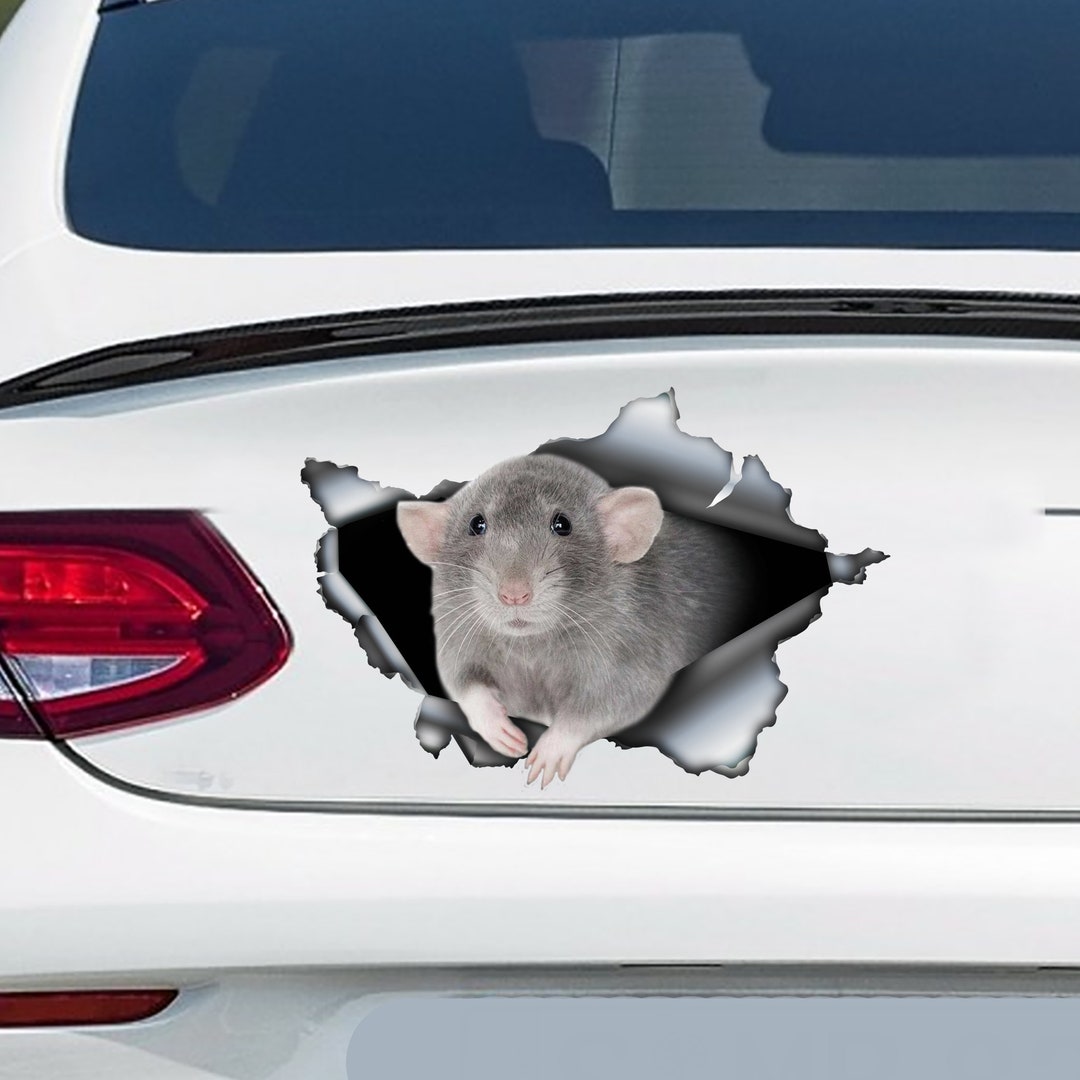 Dumbo Rat Car Decal, Dumbo Rat Magnet, Gray Dumbo Rat Car Sticker, Pet ...