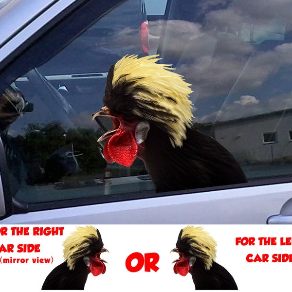 Chicken Decal - Etsy
