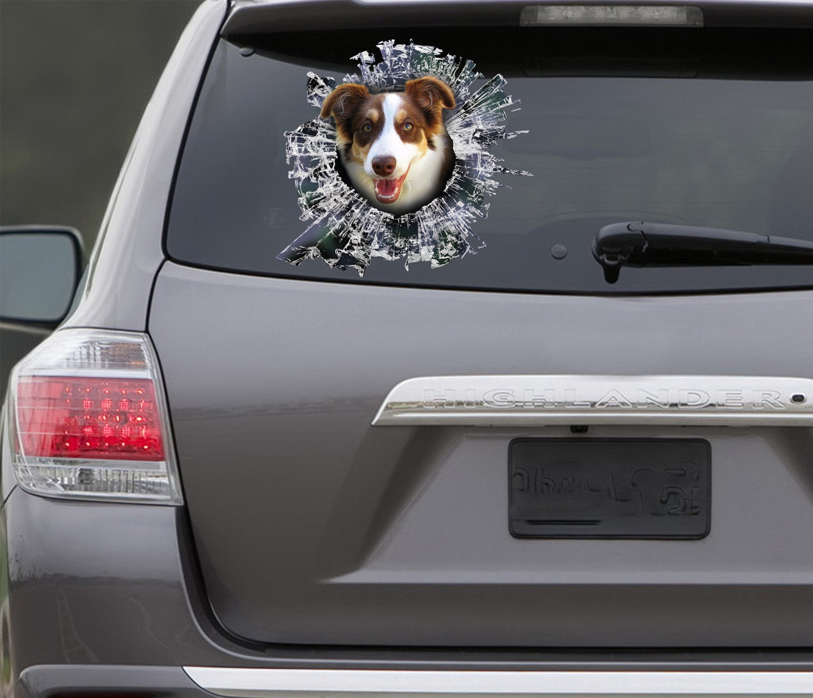 STICKER, Brown and White Border Collie Window Sticker , Dog Car Decal ...