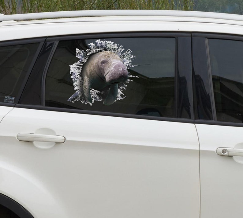 Manatee Window Decal Car Sticker Manatee Car Decal - Etsy