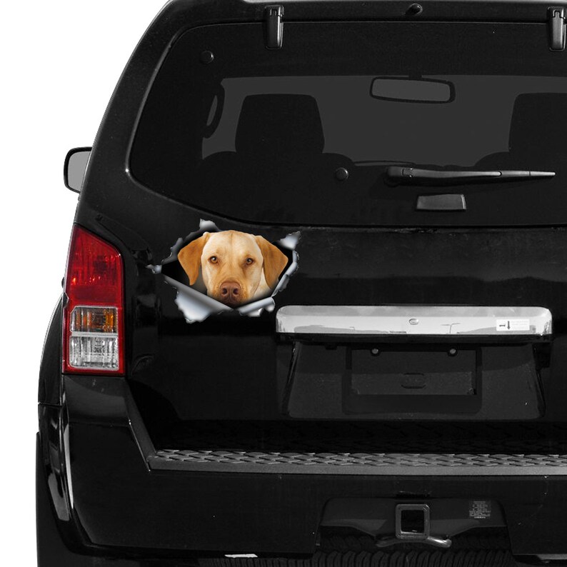 Yellow lab car decal labrador magnet labrador car sticker | Etsy