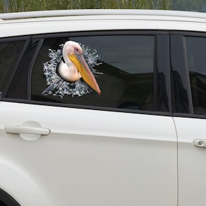 Pelican Window Decal, Pelican Car Sticker, Pelican Car Decal - Etsy