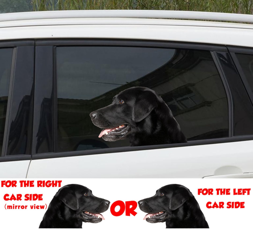 Black Lab Car Window Sticker , 3D Sticker, Funny Sticker, Black Lab ...