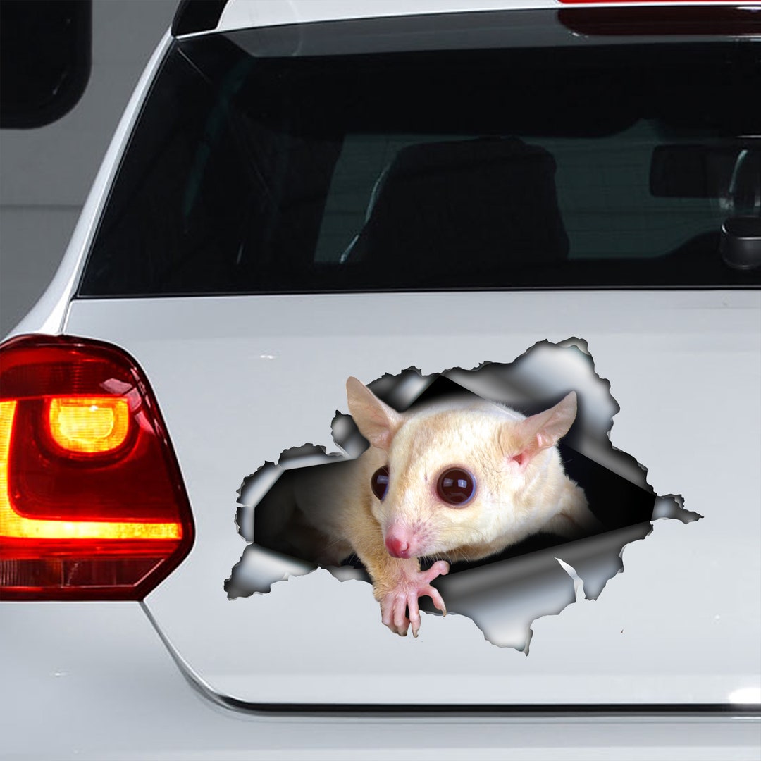 White Sugar Glider Car Decal, Albino Sugar Glider Magnet, White Sugar ...