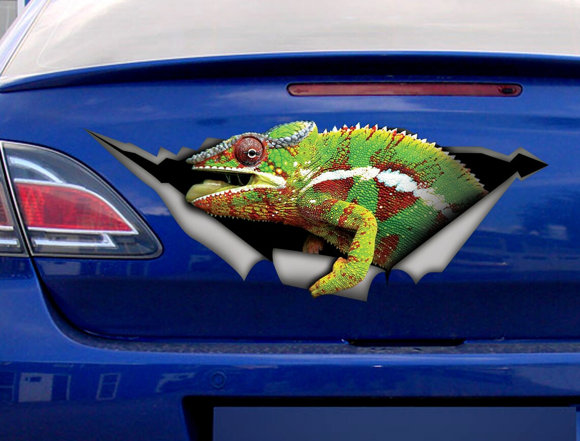 DECAL / Funny Chameleon Car Decal Reptile Decal Chameleon - Etsy